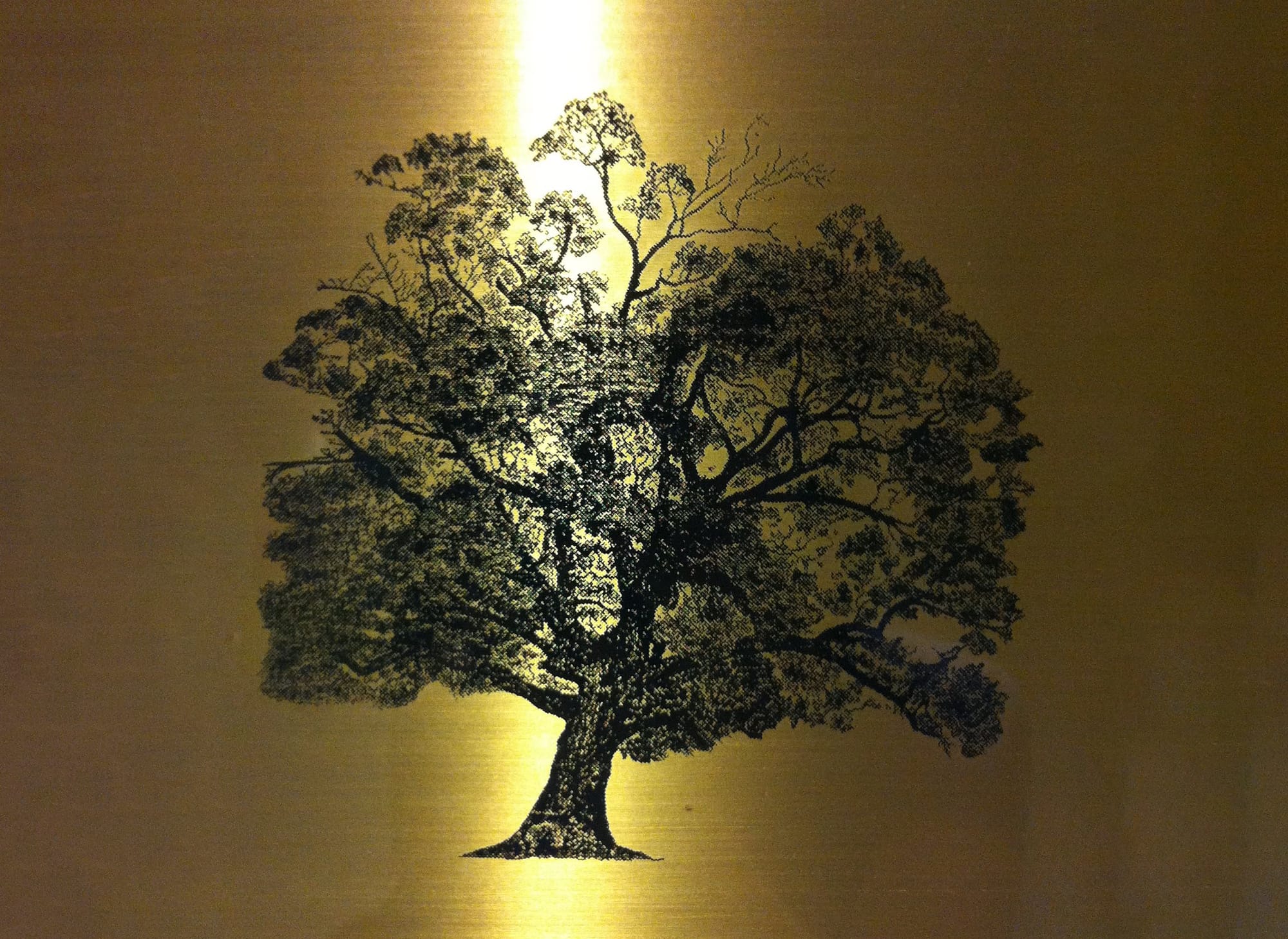 Ancient Families of Woodbridge